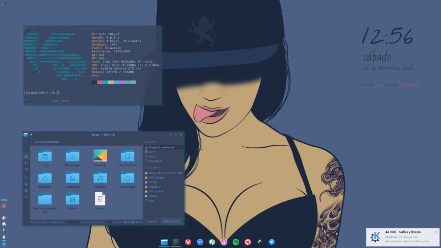 Evolution KaOS – Seducción Linux