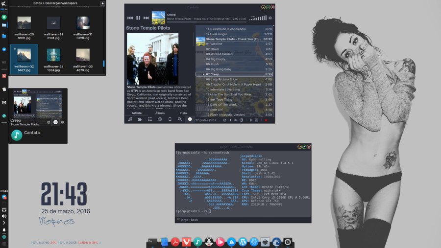 Evolution KaOS – Seducción Linux
