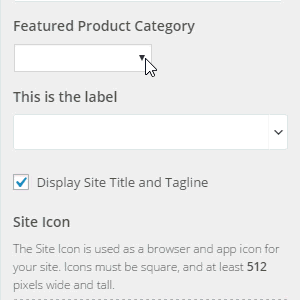 Get custom terms return an empty array · Issue #923 · themeum/kirki · GitHub